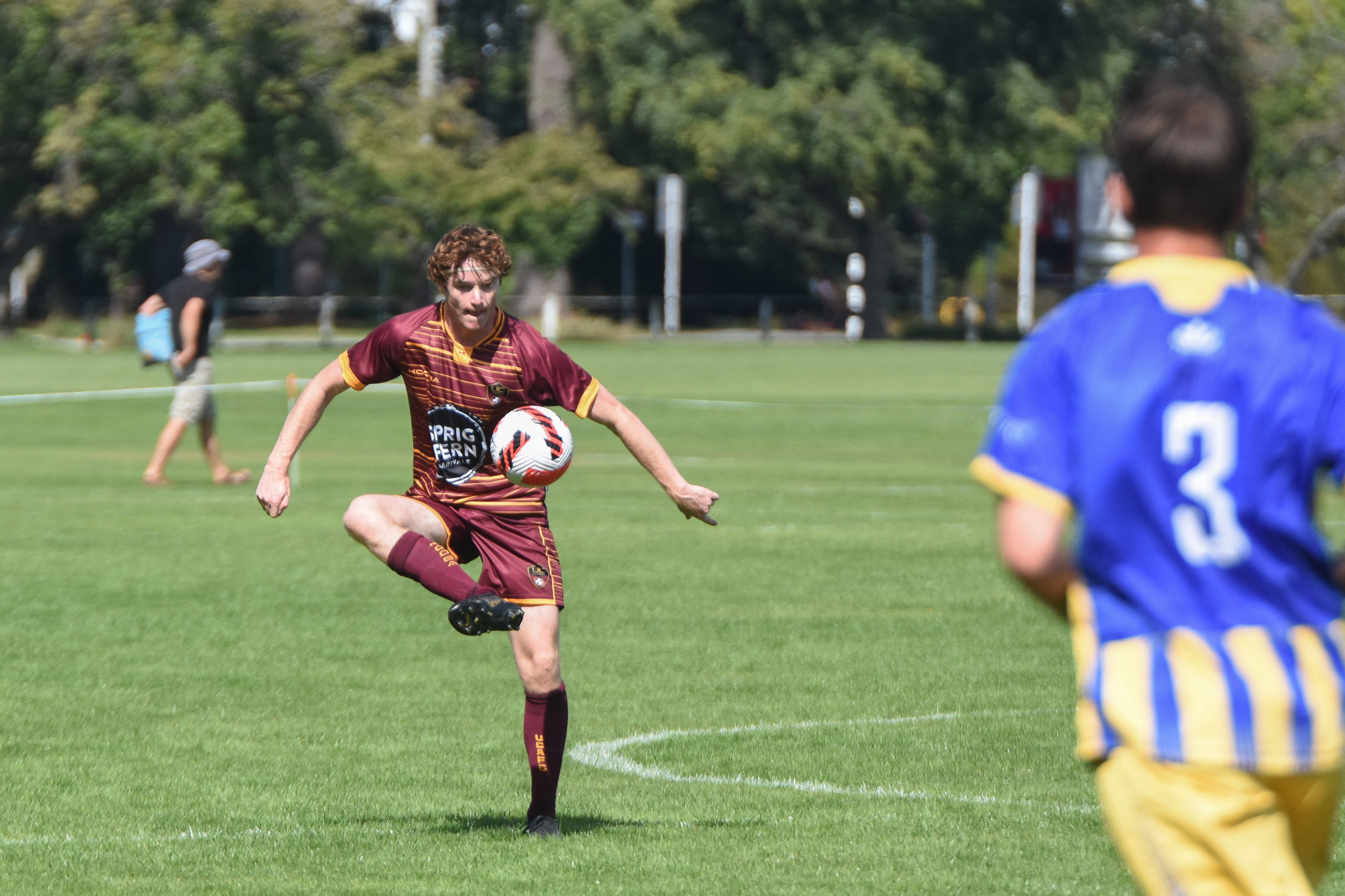 Gallery – UC Football